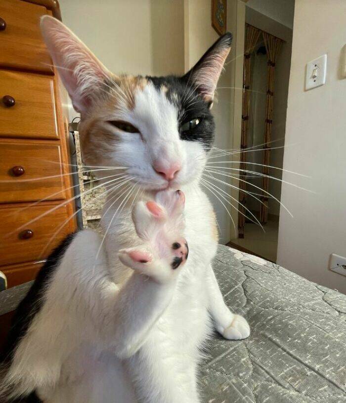 Laugh Out Loud: Pics From The 'I'm A Photographer' Trend (44 PICS ...