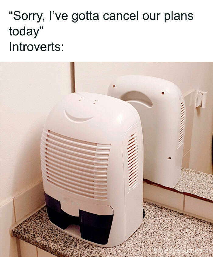 Witty Memes with a Touch of Brilliance from 'Brainy Memes' (45 PICS ...