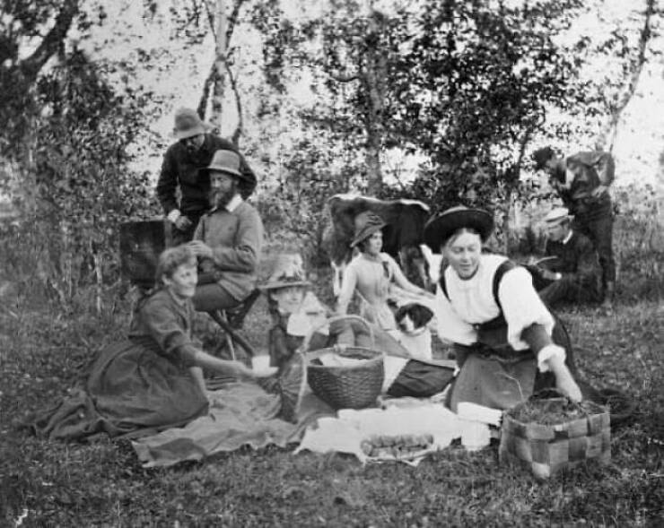 Timeless Snapshots: Vintage Photos That Illuminate The Past (42 PICS ...