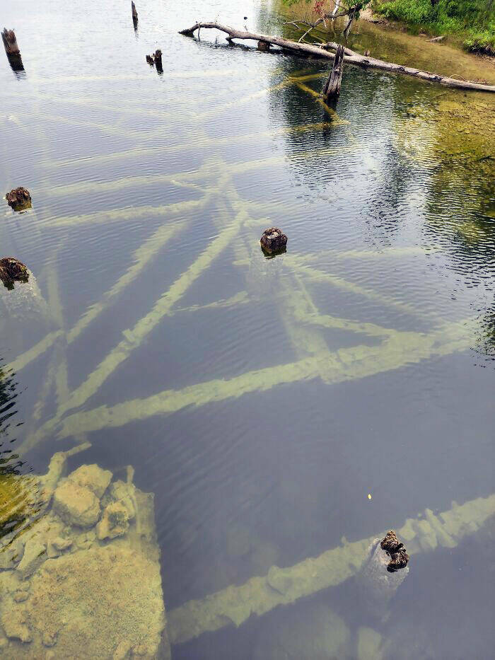 Abyssal Anxiety: Chilling Images Of Deep Water Dread (48 PICS ...