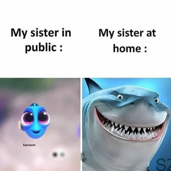 Sarcastic Relief: Memes For When Everything's On Your Last Nerve (53 ...