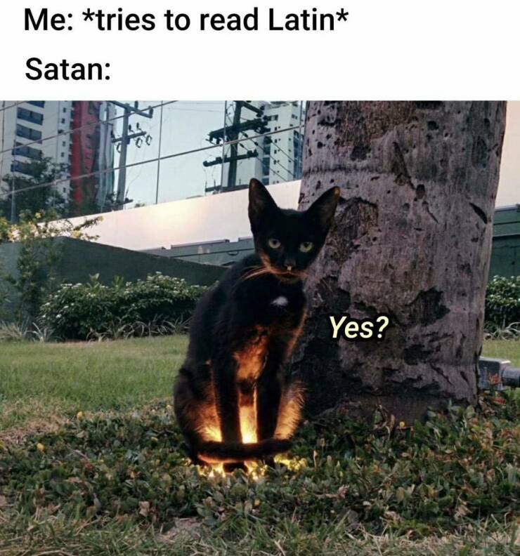 Haunted Humor: Delving Into The Dark Side With Creepy Memes (49 PICS ...