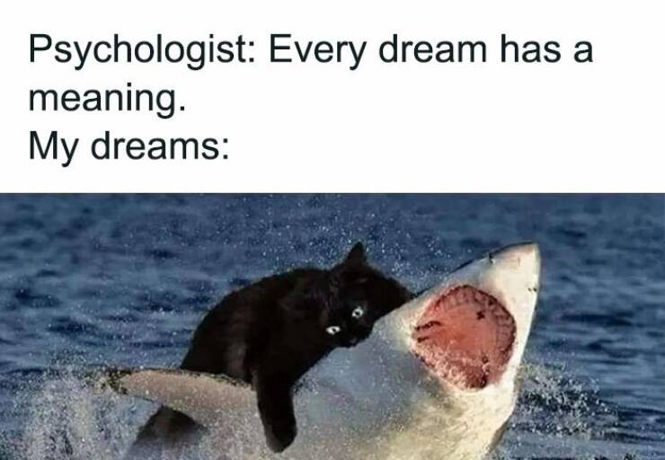 Painfully Hilarious: Memes You'll Relate To A Bit Too Well (47 PICS ...