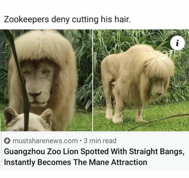 Painfully Hilarious: Memes You'll Relate To A Bit Too Well (47 PICS ...