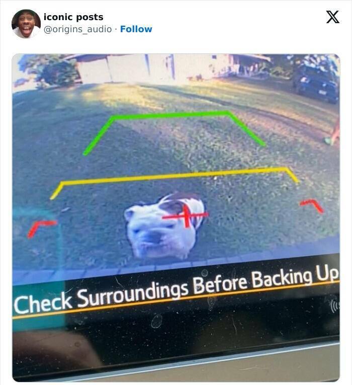 The Final Brain Strain: Laugh-Worthy Memes From The 'Iconic Posts' (50 ...