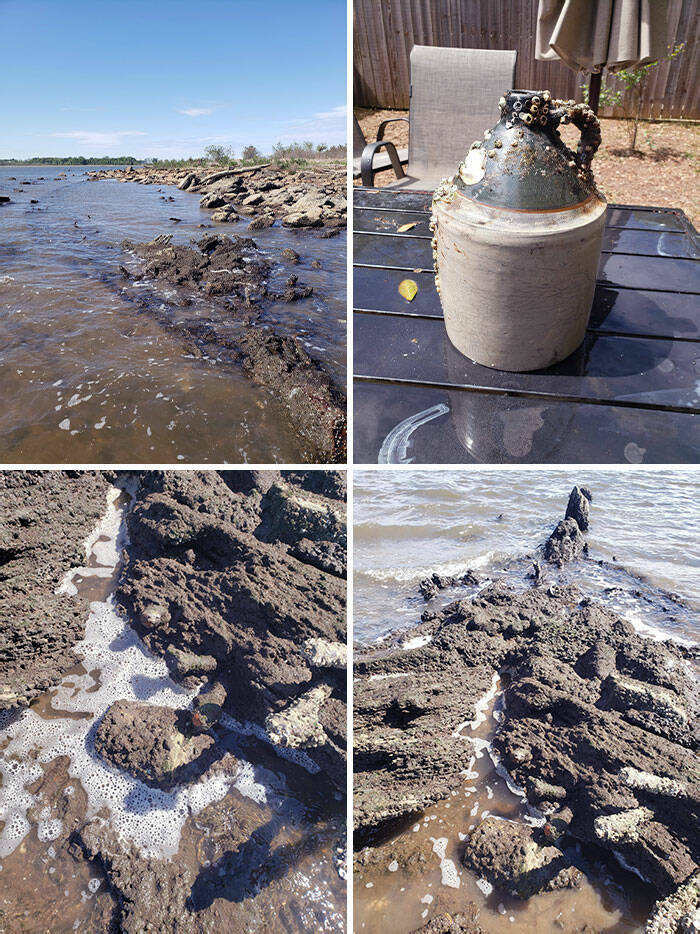 Unearthing History: Fascinating Discoveries By Explorers And ...