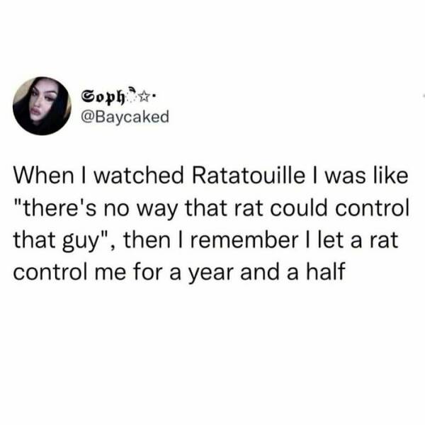 Sarcastic Survival: Memes For Navigating Life's Ups And Downs (43 PICS ...