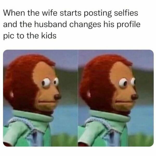 Sarcastic Survival: Memes For Navigating Life's Ups And Downs (43 PICS ...