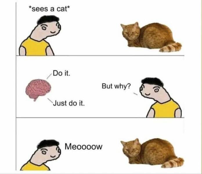 Unfiltered Laughter: Memes Embracing The Honest Truth (39 PICS ...