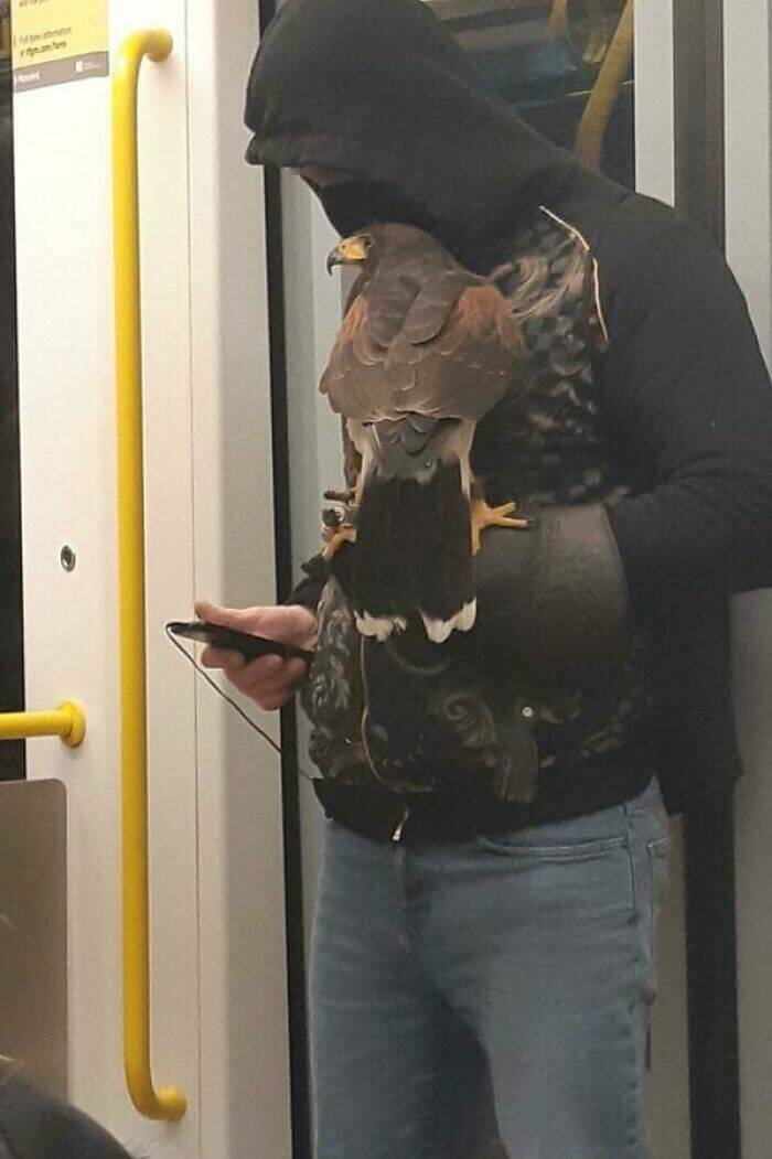 Quirky Commutes: Weird And Funny Sights Seen On The Subway (42 PICS ...