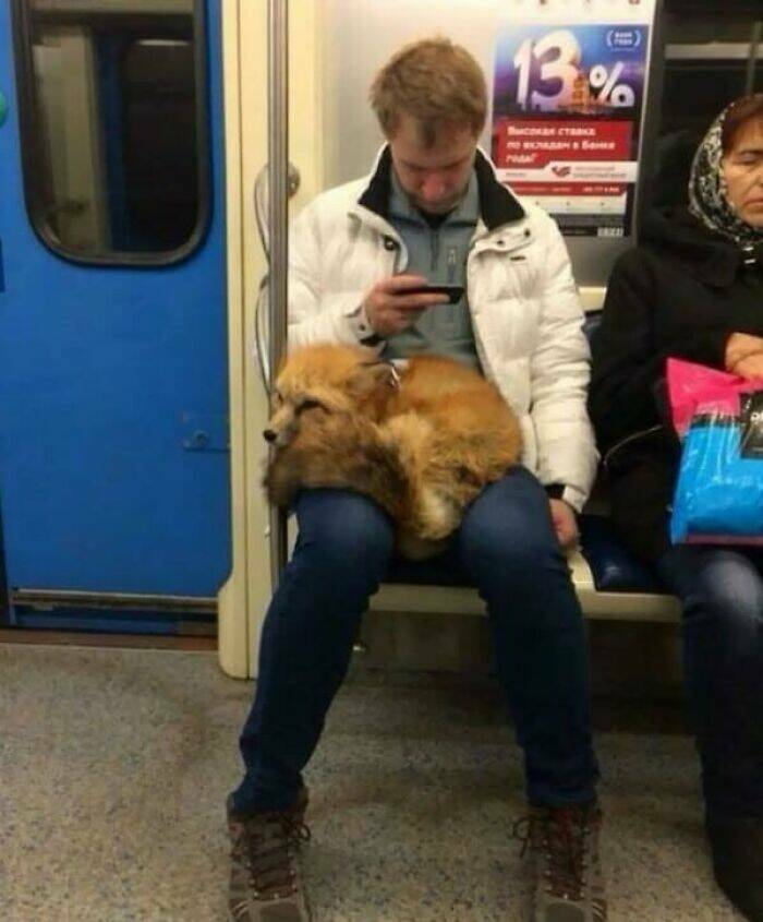 Quirky Commutes: Weird And Funny Sights Seen On The Subway (42 PICS ...