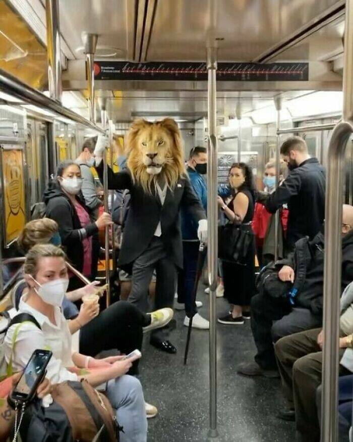 Quirky Commutes: Weird And Funny Sights Seen On The Subway (42 PICS ...