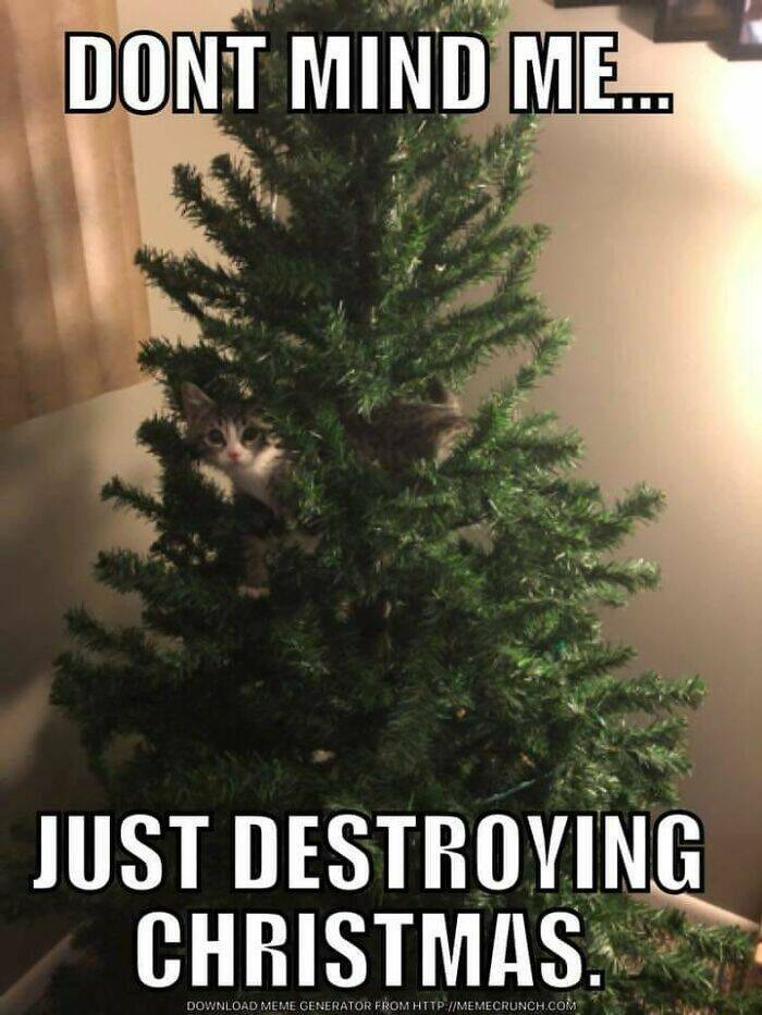 Comic Chaos: Embracing The Funny Side Of Being Completely Wrong (37 ...