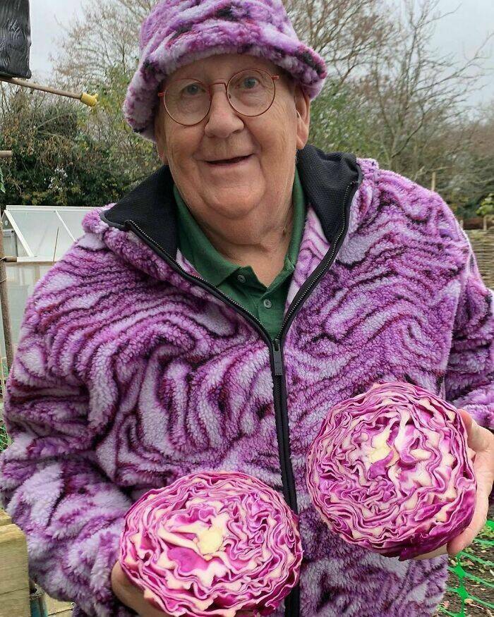 Quirky Quandaries: Bizarre Images And Memes Worth A Look (40 PICS) - Izismile.com