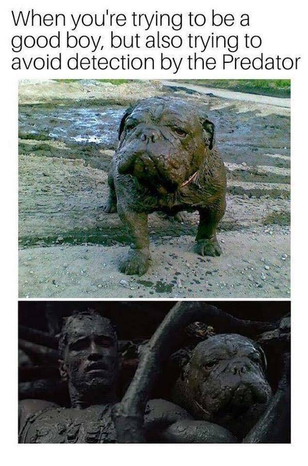 Galactic Chuckles: Memes For The Sci-Fi Enthusiast (57 PICS + 2 GIFS ...