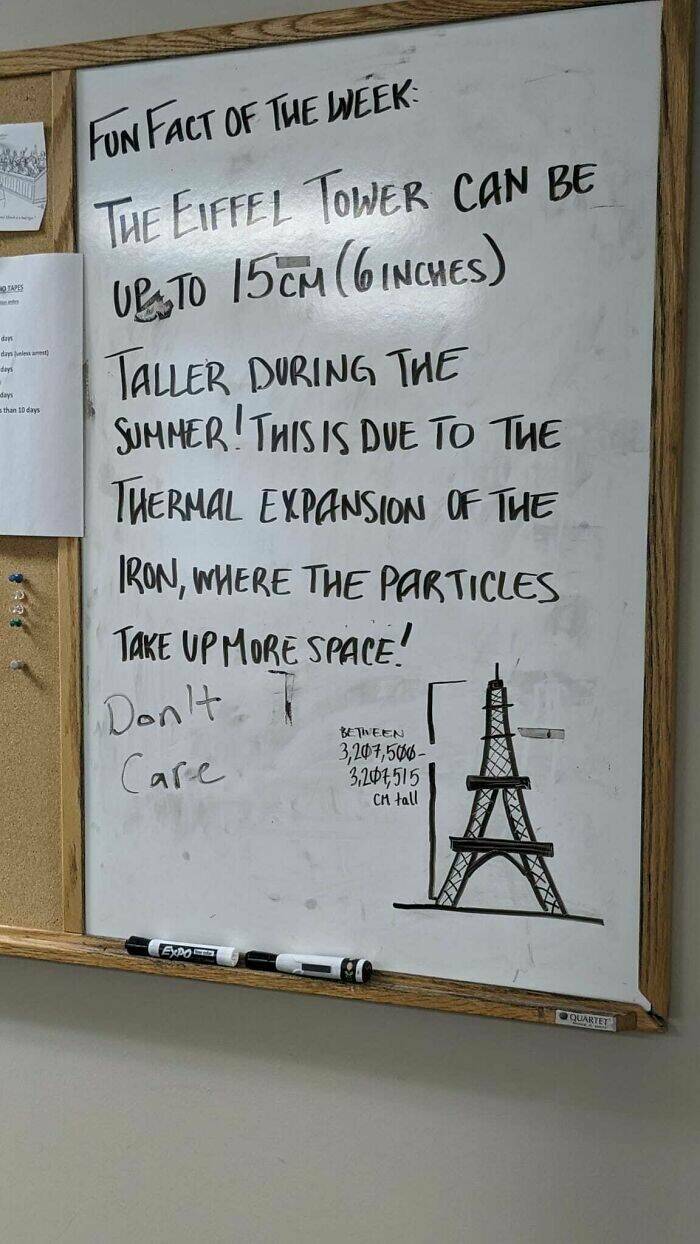 Professional Frontiers Ignored: Unacceptable Behavior At Work (48 PICS ...