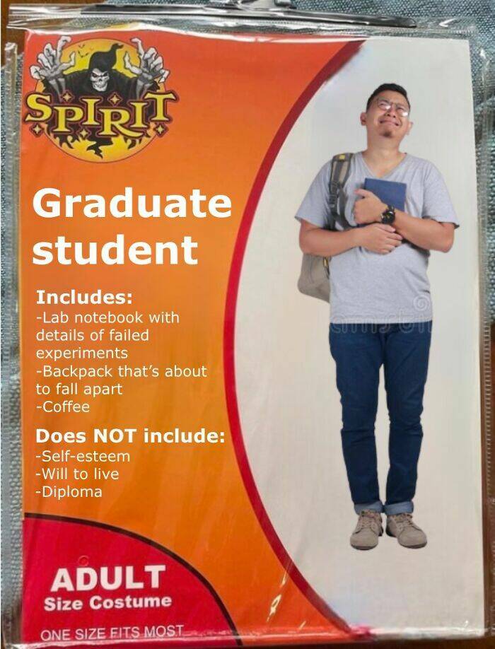 Grad School Humor: Memes That Echo Grad Student Realities (40 PICS ...