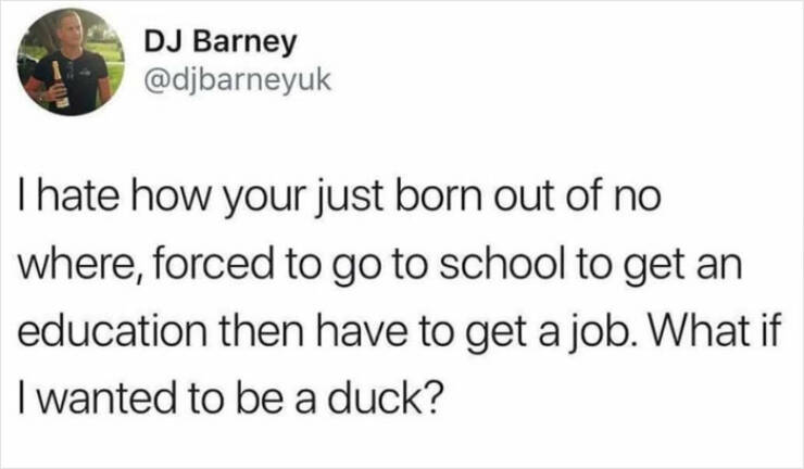 Workplace Survival: Anti-Work Memes To Navigate Another Day On The Job ...