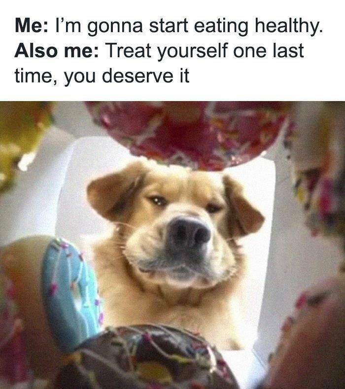 Meme Magic For All: Sharing Laughter With Friends And Family (44 PICS ...