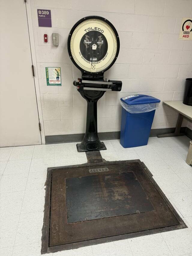 Marginally Captivating Snaps: A Collection Of Slightly Interesting ...