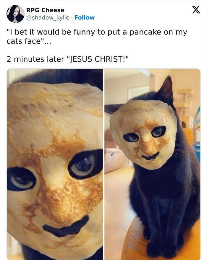 Laugh Safari: Whimsical Animal Memes For Every Creature Lover (50 PICS ...