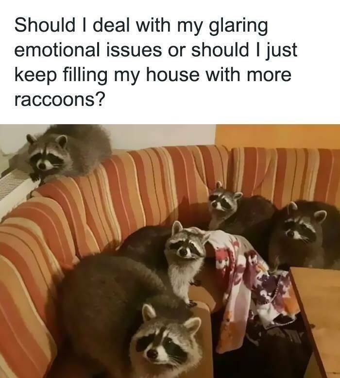 Laugh Safari: Whimsical Animal Memes For Every Creature Lover (50 PICS ...