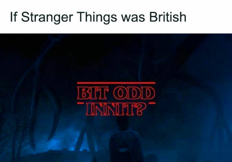 Brit Wit Bliss: Memes Showcasing The Pinnacle Of British Humor (49 PICS ...