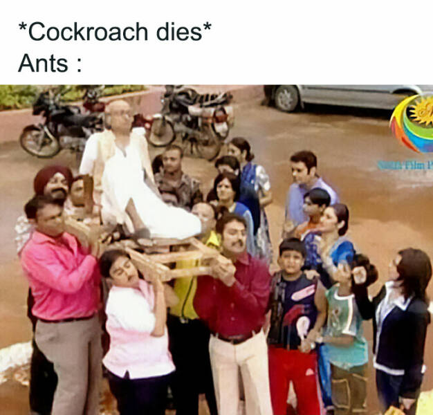 Degree In Laughter: Brainy Memes For The Academically Inclined (43 PICS ...