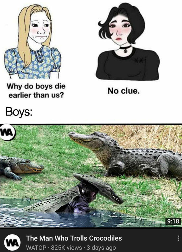 Degree In Laughter: Brainy Memes For The Academically Inclined (43 PICS ...