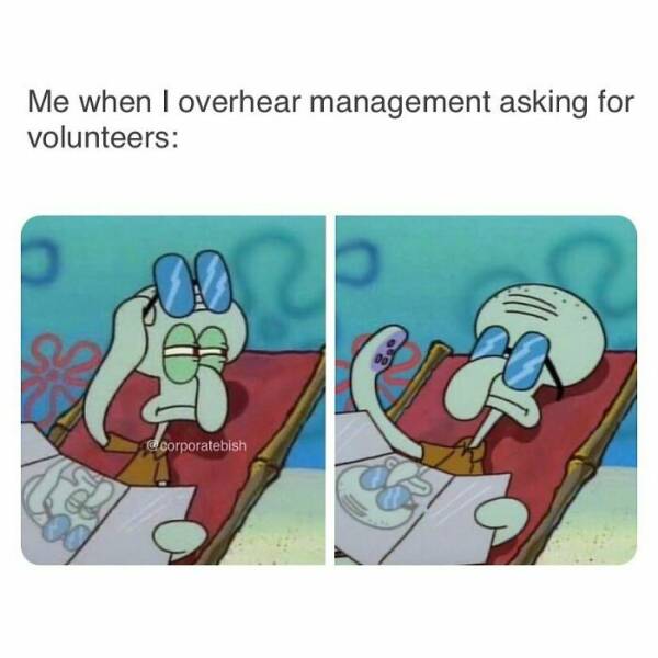 Desk Distractions: Work Memes For A Quick Mental Break (50 PICS ...