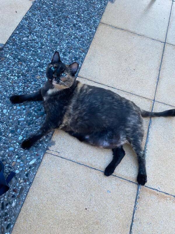 Visual Bliss: A Gallery Of Incredibly Satisfying Pictures (29 PICS + 1 ...