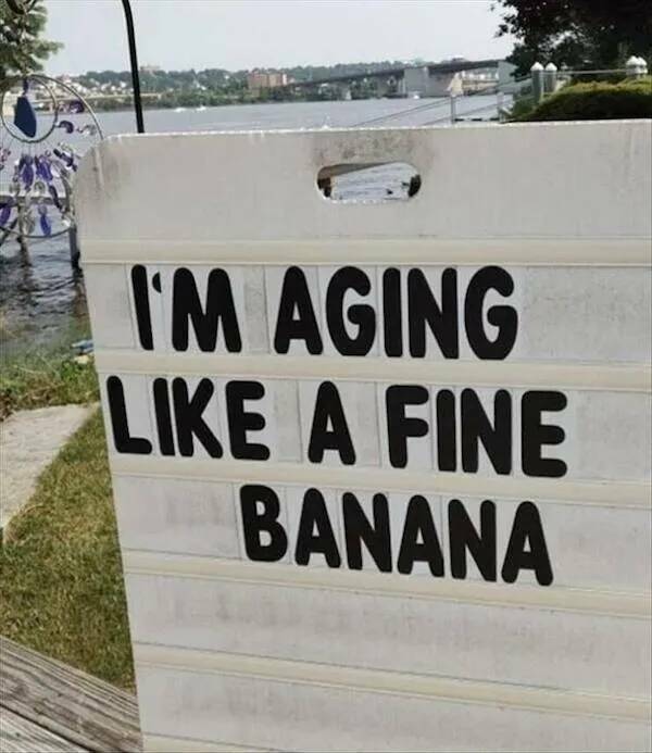 Laughter Through Tears: Pics That Blend Sorrow And Humor (35 PICS ...
