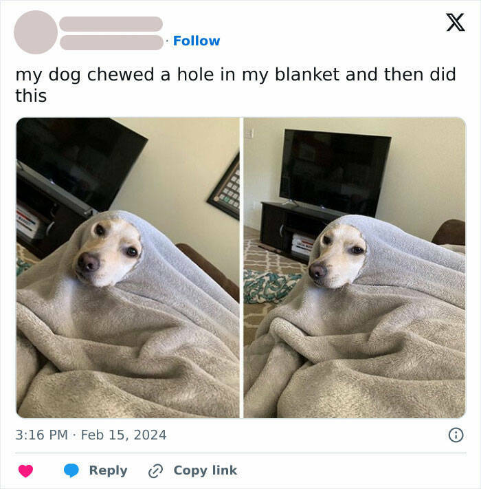 Feel-Good Funnies: Memes To Restore Your Faith In The Goodness Of Life ...