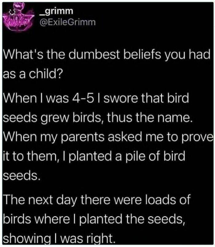 Chirp-worthy Chuckles: The Best Bird Memes For A Smile (43 PICS ...