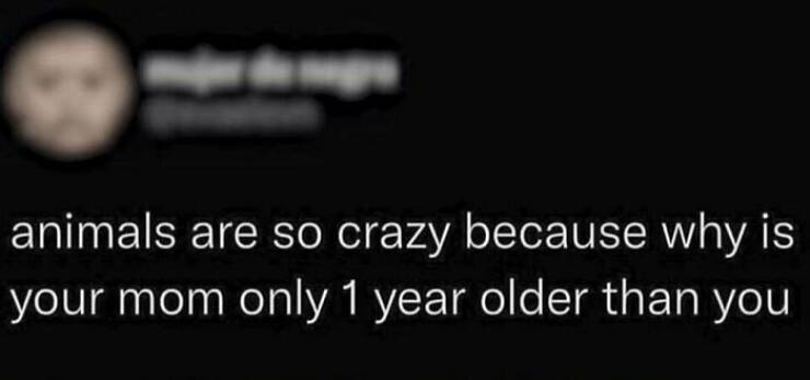 Humor In Despair: Laughing Through The 'Mad Sad Not Good' Moments (49 ...