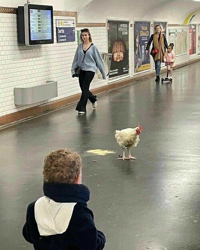 Metro Madness: Unhinged Moments Captured On The Parisian Subway (49 ...