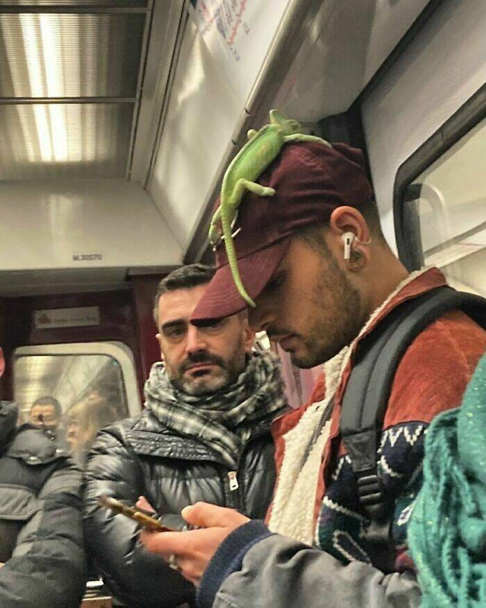 Metro Madness: Unhinged Moments Captured On The Parisian Subway (49 ...