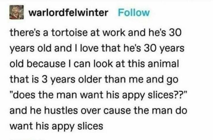 Random Chuckles: Memes To Add Some Humor To Your Day (48 PICS ...