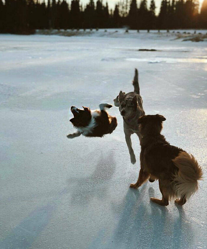 Impending Chaos: Photos Capturing Disaster On The Horizon (44 PICS ...