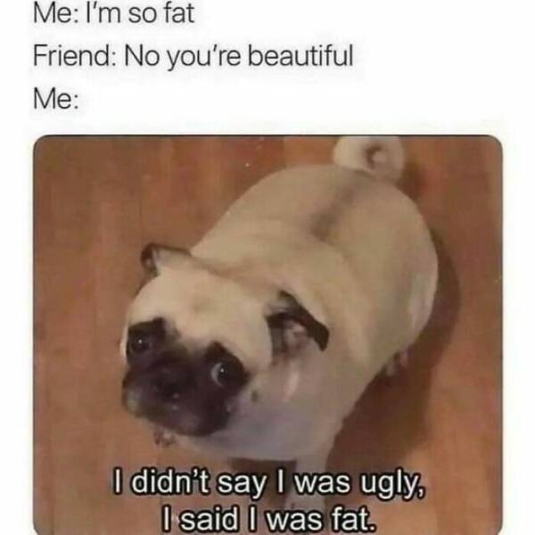 Memes That Hit Too Close To Home: Capturing Relatable Moments (51 PICS ...