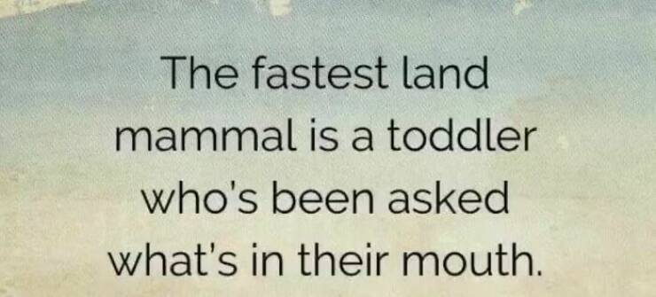 Parenting Humor: Memes That Show You're Not Alone In The Parenthood ...