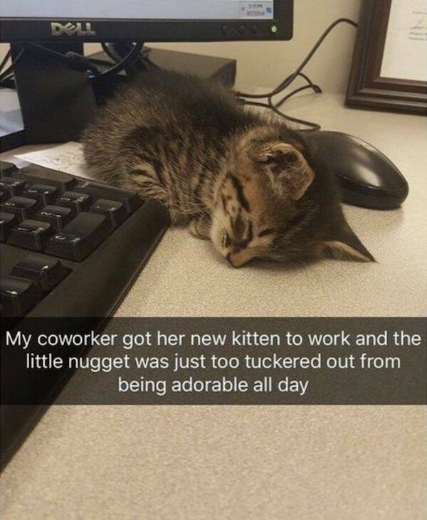 The Inevitable Grind: When Work Strikes Despite Our Hopes (33 PICS + 6 ...