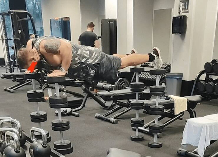 Dumb And Dumber: Chronicles Of Ridiculous Behavior (24 PICS + 11 GIFS ...