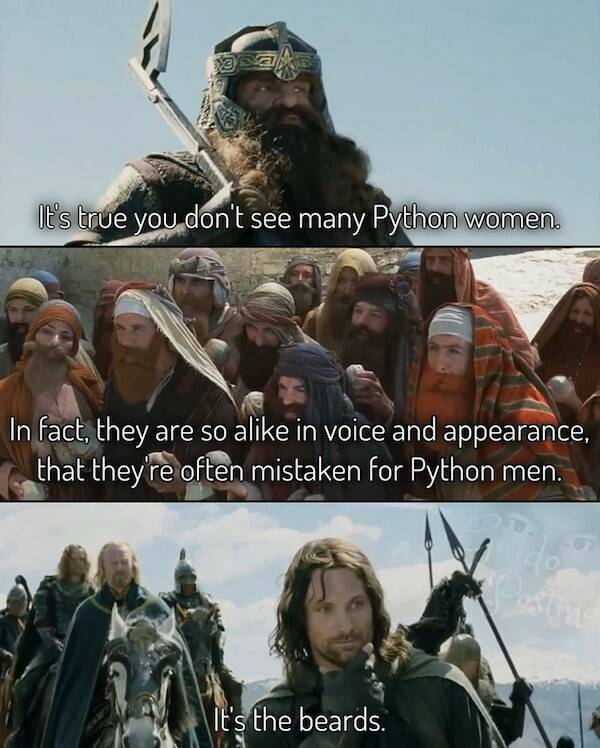 LOTR Meme Revival: The Return Of The Fellowship's Funniest Moments (37 ...