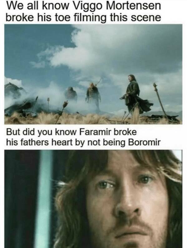 LOTR Meme Revival: The Return Of The Fellowship's Funniest Moments (37 ...