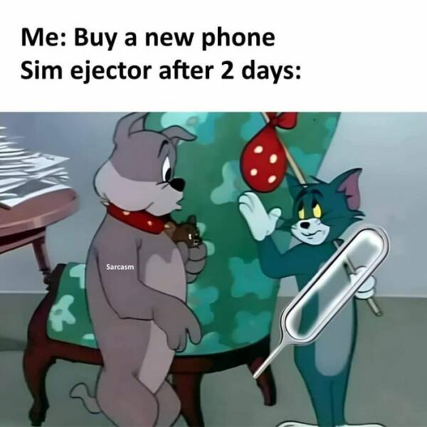 Laugh Factory: Dive Into The Hilarious World Of Sarcasm (46 PICS ...