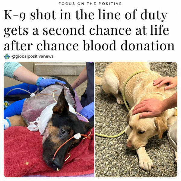 Uplifting Stories: Global Positive News That Warms The Heart (46 PICS ...