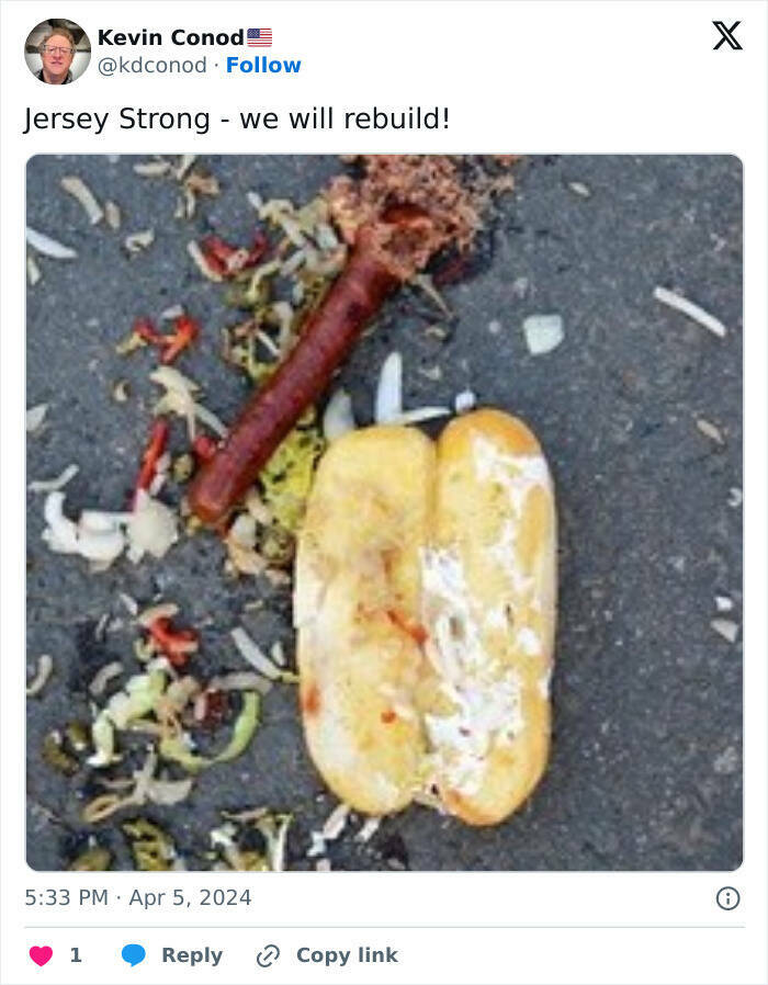 Laughing Through Disaster: The Hilarious 'We Will Rebuild' Trend After ...