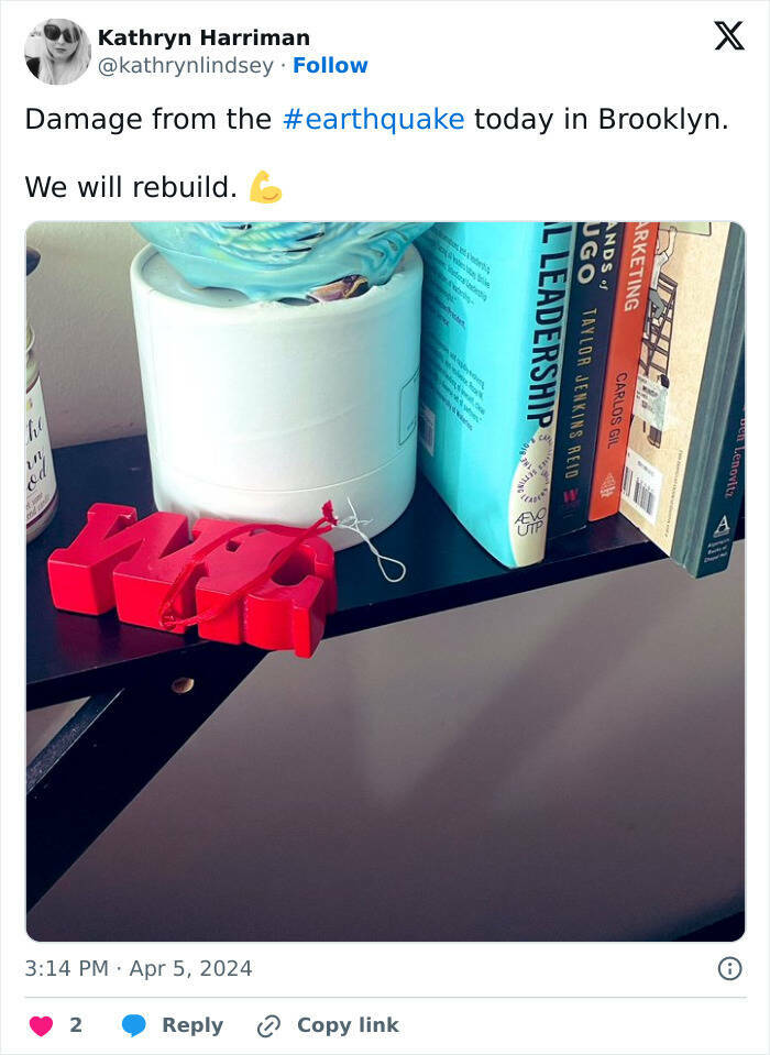 Laughing Through Disaster: The Hilarious 'We Will Rebuild' Trend After ...