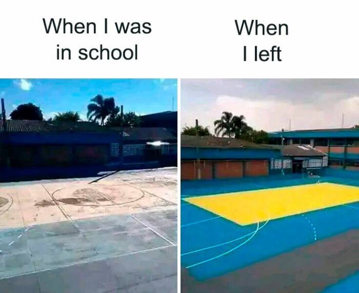 Procrastinator’s Paradise: A Collection Of Random Memes For Your ...